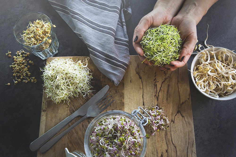 Groddar Ekologisk Säsong Januari - December - SydGrönt