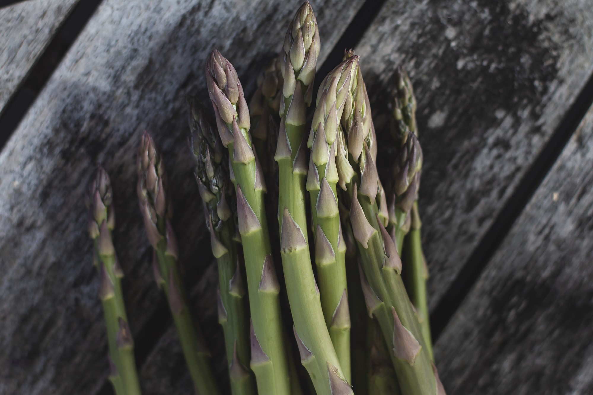 Sparris ASPARAGUS OFFICINALIS Säsong Maj - Juni - SydGrönt