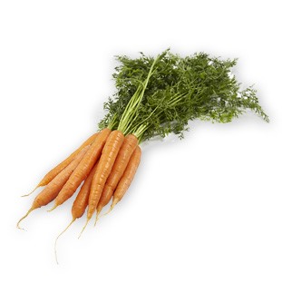 SydGrönt - Svenskodlade grönsaker, grönsaker, odlat i Sverige, frukt ...